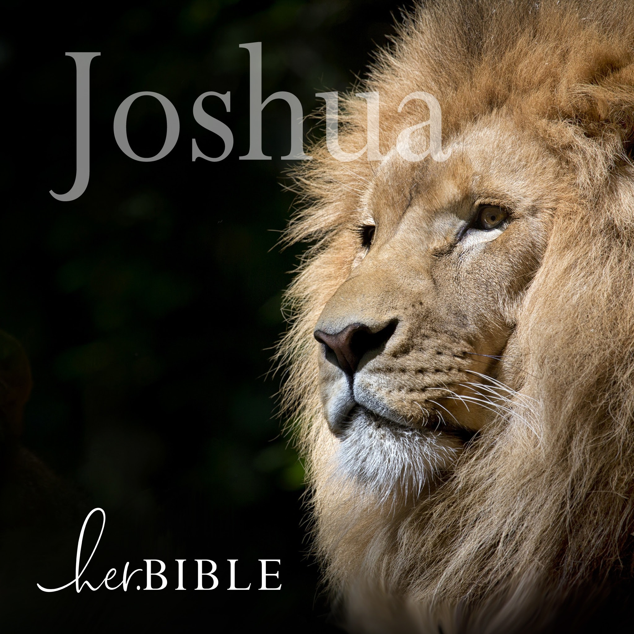 Winning Your Worry Battle – her.BIBLE