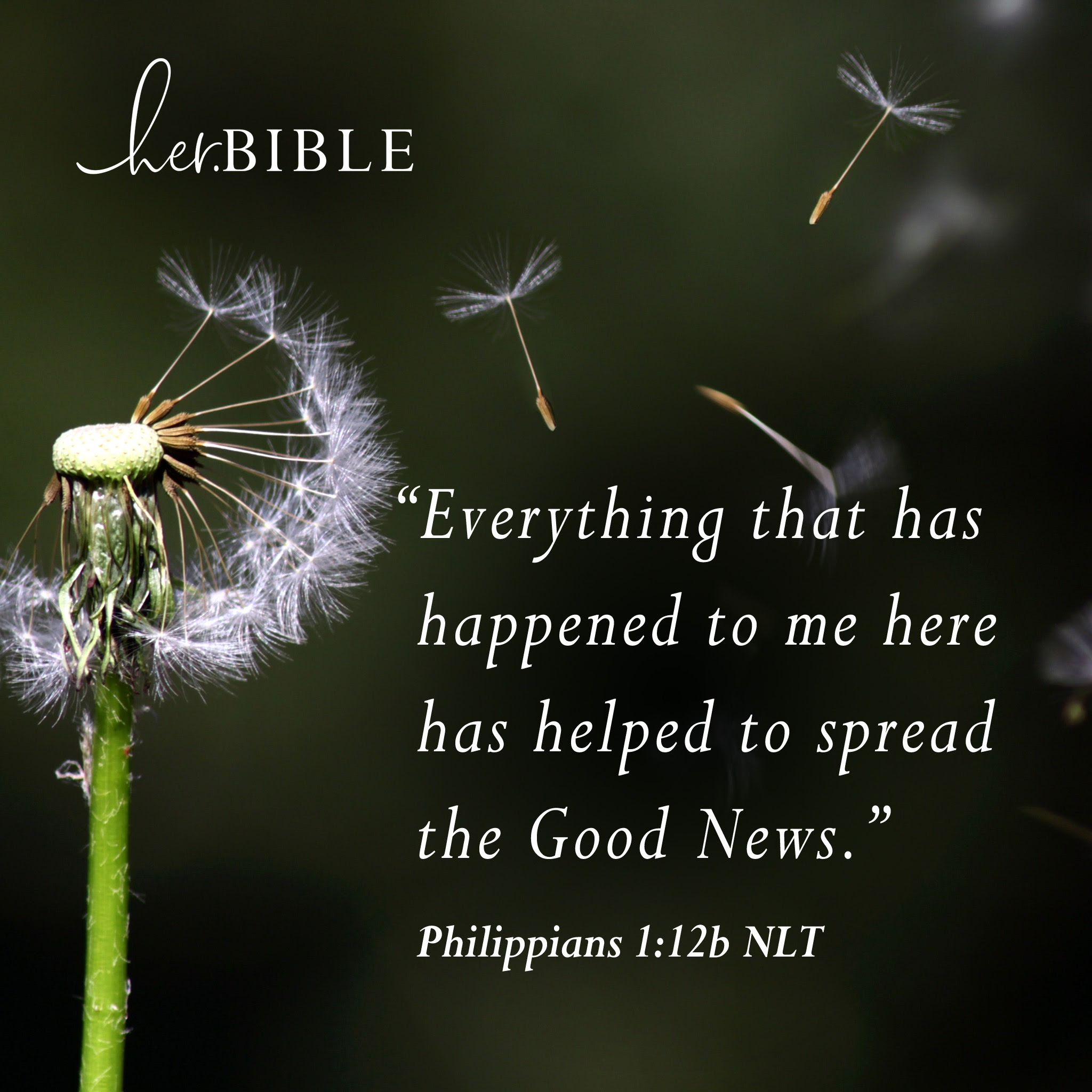 God is Still at Work in Your Life – her.BIBLE