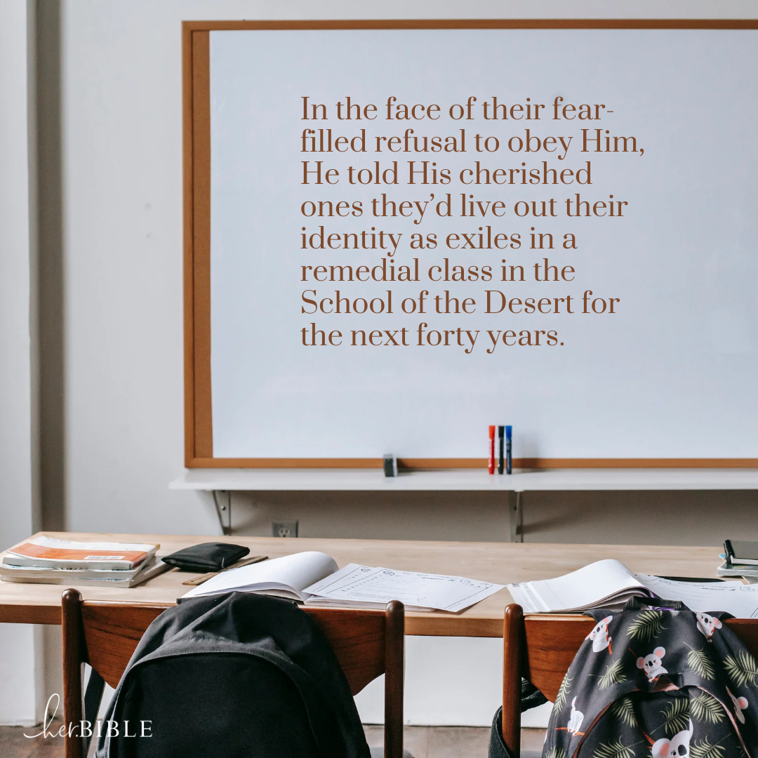 What Can We Learn in the Desert? – her.BIBLE